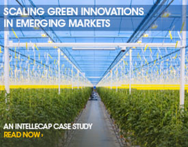 Intellecap – Advisory Services Private Limited